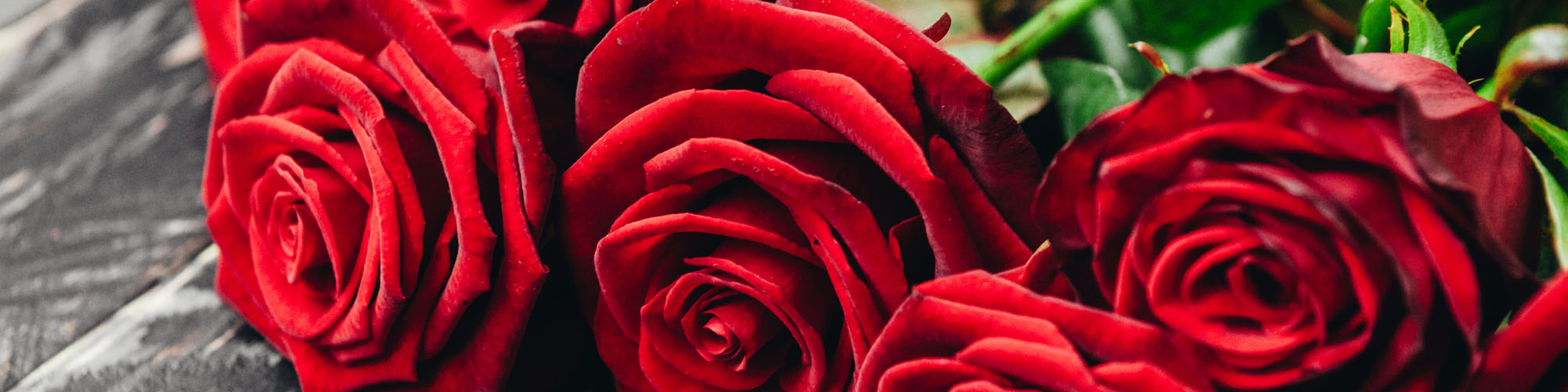 The Cambridge Flower Shop 01223 366626 - Real Local Florist