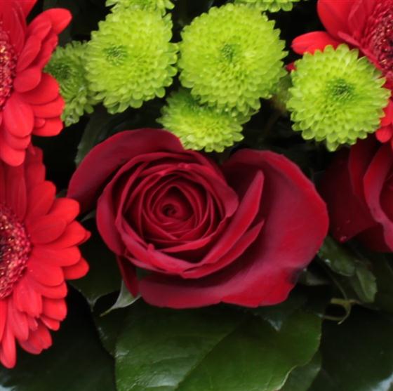 Radiance The Cambridge Flower Shop Florist Cambridge